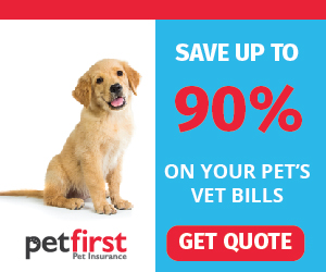 Find the Best Pet Insurance - Pet Insurance Guide | Clearsurance